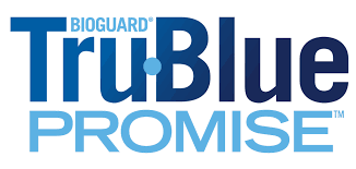 What’s new for 2019 at R&R Pools | R&R Pools