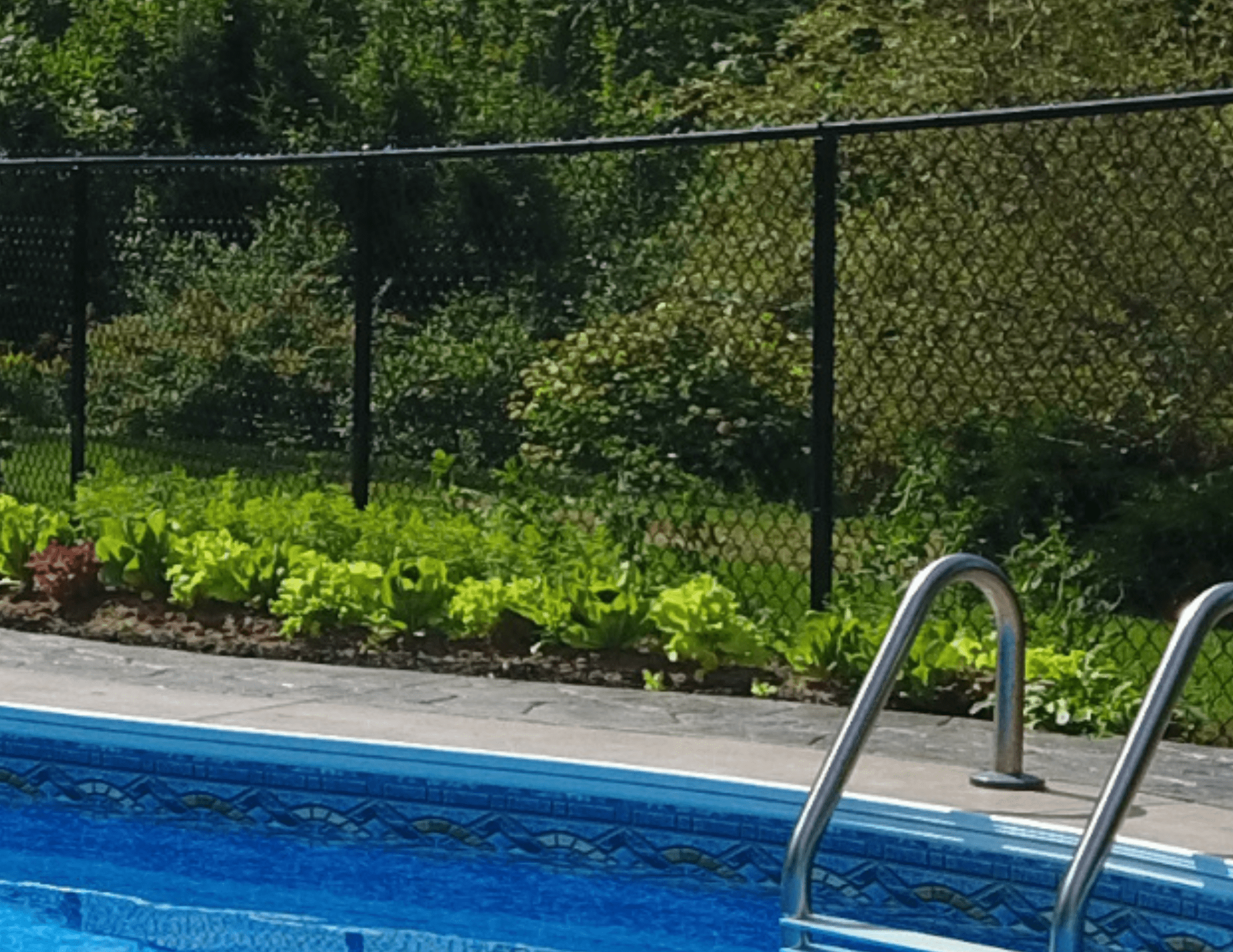 Decking and Fencing Options | R&R Pools