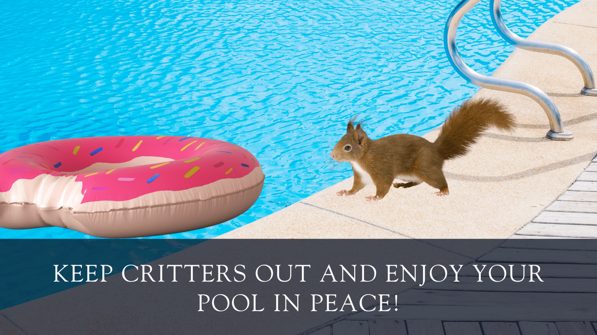 Keep Critters Out and Enjoy Your Pool in Peace! - R&R Pools