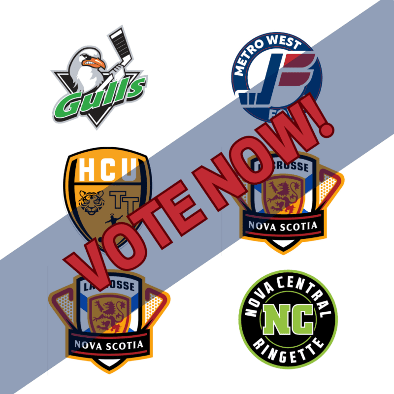 We are going on vacation... what do we do with the swimming pool? 4 ...